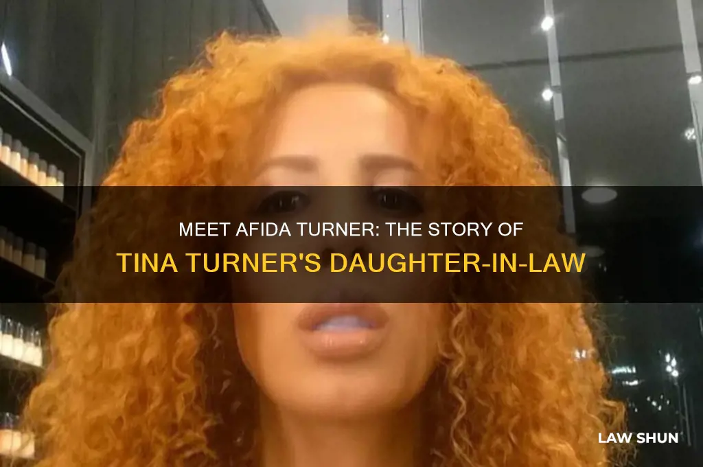 Meet Afida Turner: The Story Of Tina Turner's Daughter-In-Law | LawShun