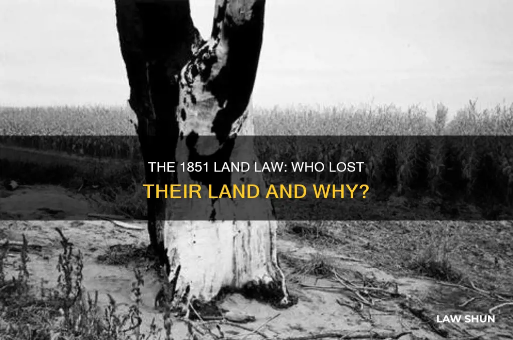 The 1851 Land Law: Who Lost Their Land And Why? | LawShun