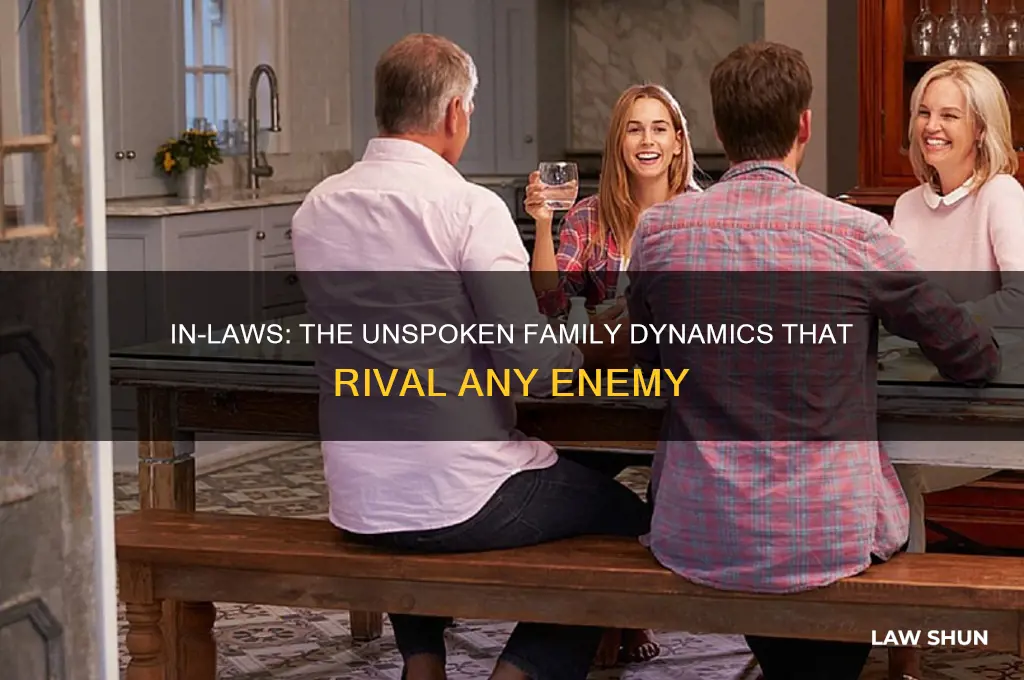 In-Laws: The Unspoken Family Dynamics That Rival Any Enemy | LawShun