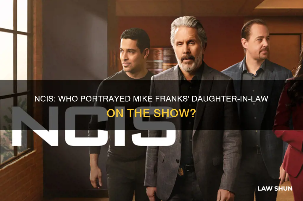 Ncis: Who Portrayed Mike Franks' Daughter-In-Law On The Show? | LawShun