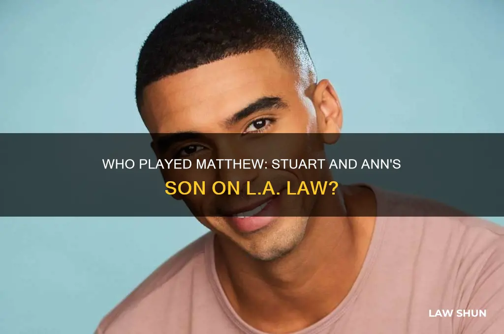 Who Played Matthew: Stuart And Ann's Son On L.A. Law? | LawShun