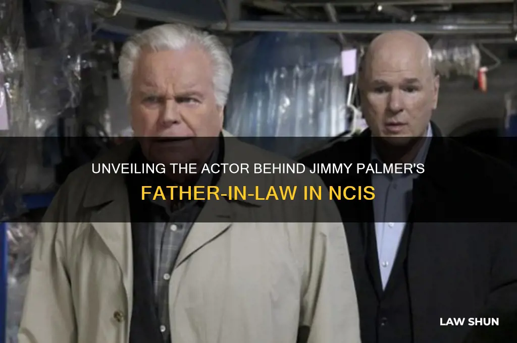 Unveiling The Actor Behind Jimmy Palmer's Father-In-Law In Ncis | LawShun