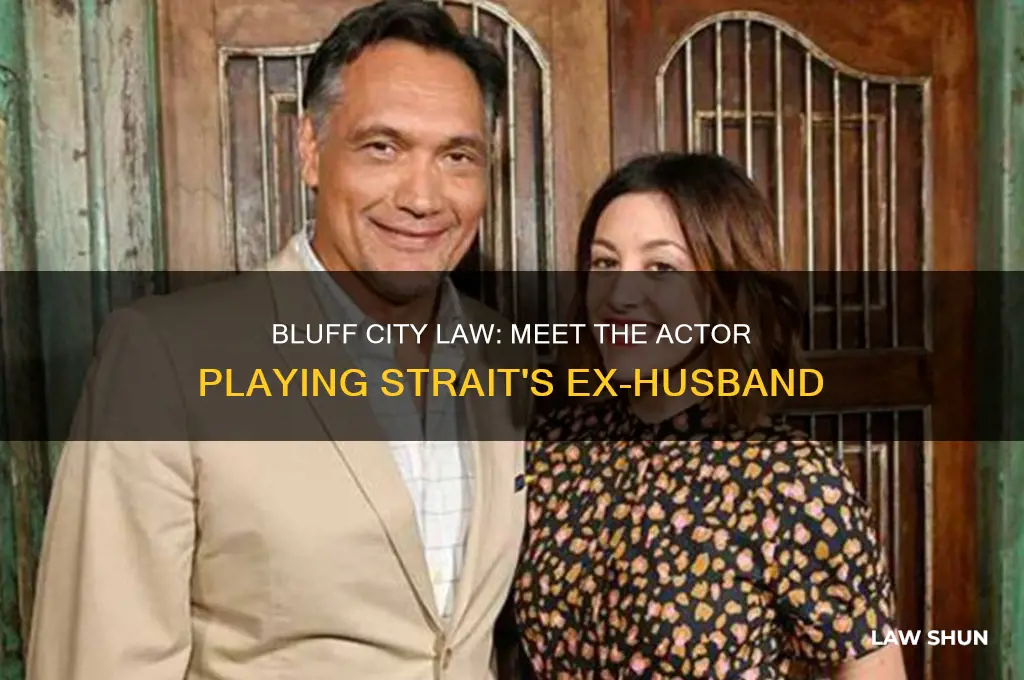 Bluff City Law: Meet The Actor Playing Strait's Ex-Husband | LawShun