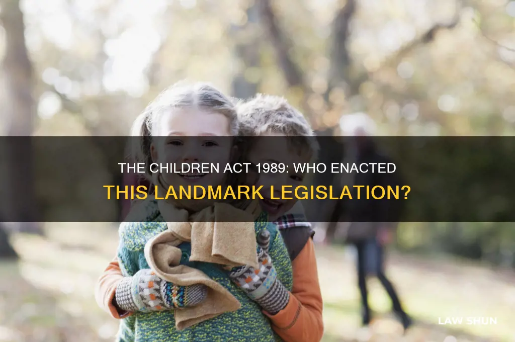 The Children Act 1989: Who Enacted This Landmark Legislation? | LawShun