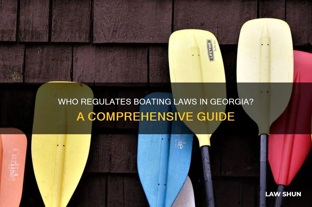 Who Regulates Boating Laws In Georgia? A Comprehensive Guide | LawShun
