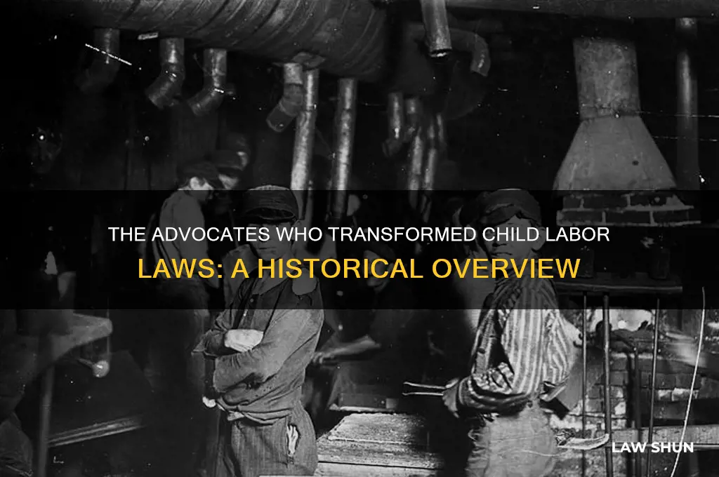 The Advocates Who Transformed Child Labor Laws: A Historical Overview ...