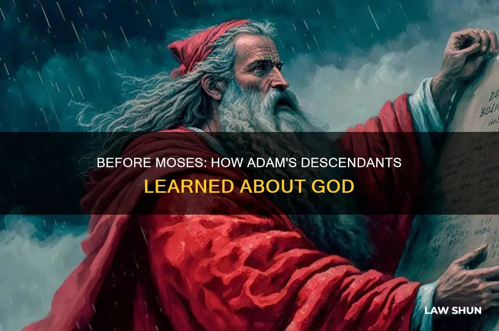 Before Moses: How Adam's Descendants Learned About God | LawShun