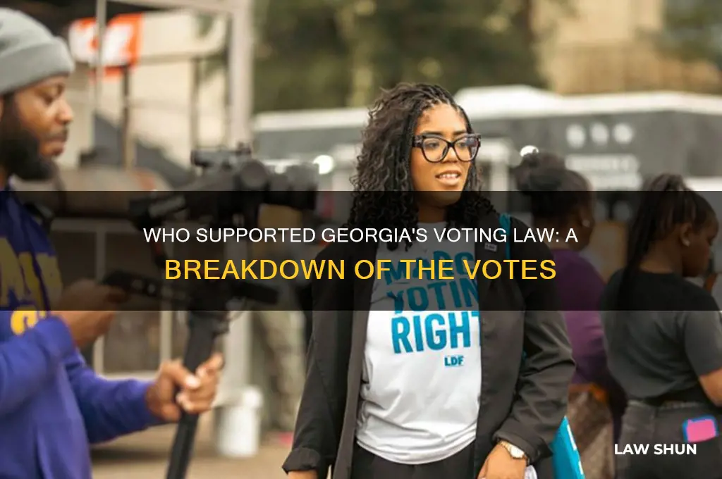 Who Supported Georgia's Voting Law: A Breakdown Of The Votes | LawShun