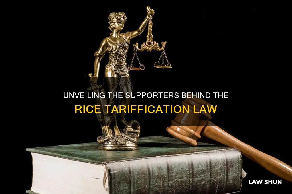 Unveiling The Supporters Behind The Rice Tariffication Law | LawShun