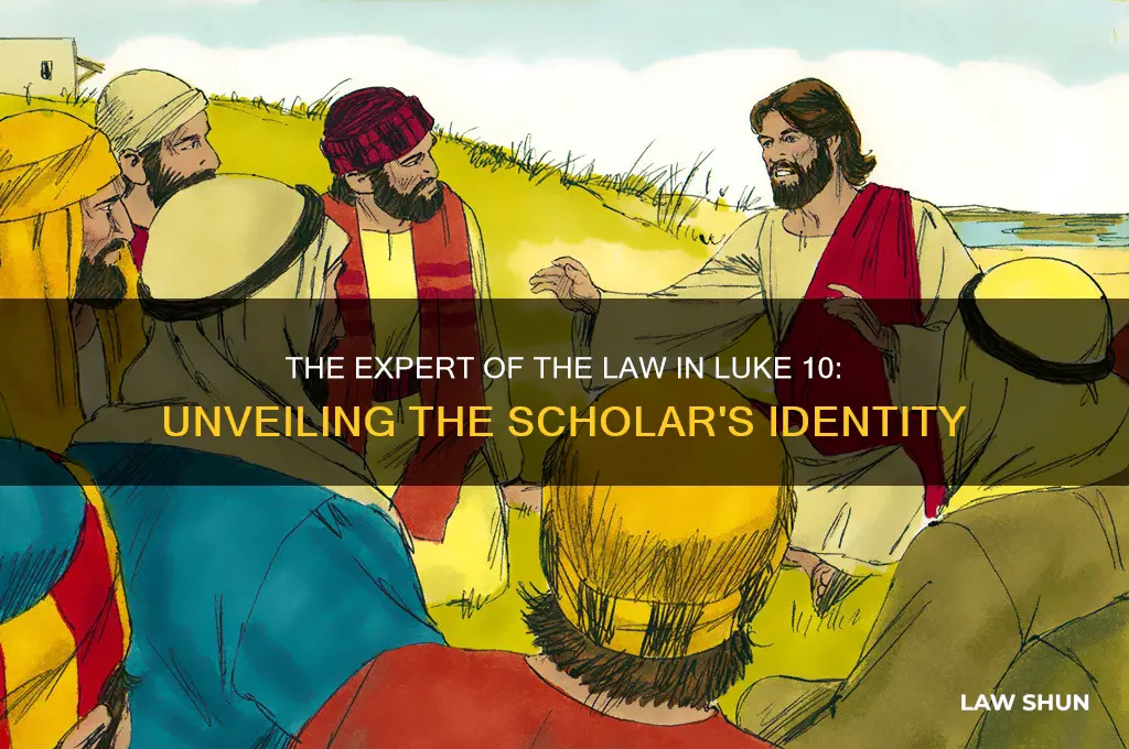 The Expert Of The Law In Luke 10: Unveiling The Scholar's Identity ...
