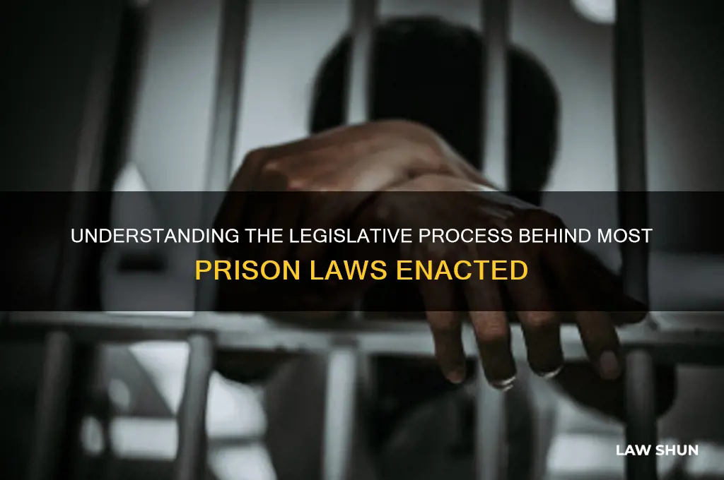 Understanding The Legislative Process Behind Most Prison Laws Enacted ...