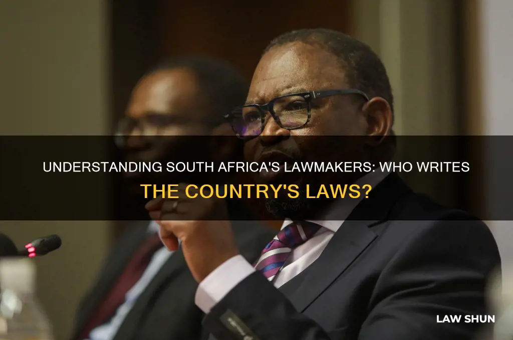 Understanding South Africa's Lawmakers: Who Writes The Country's Laws ...