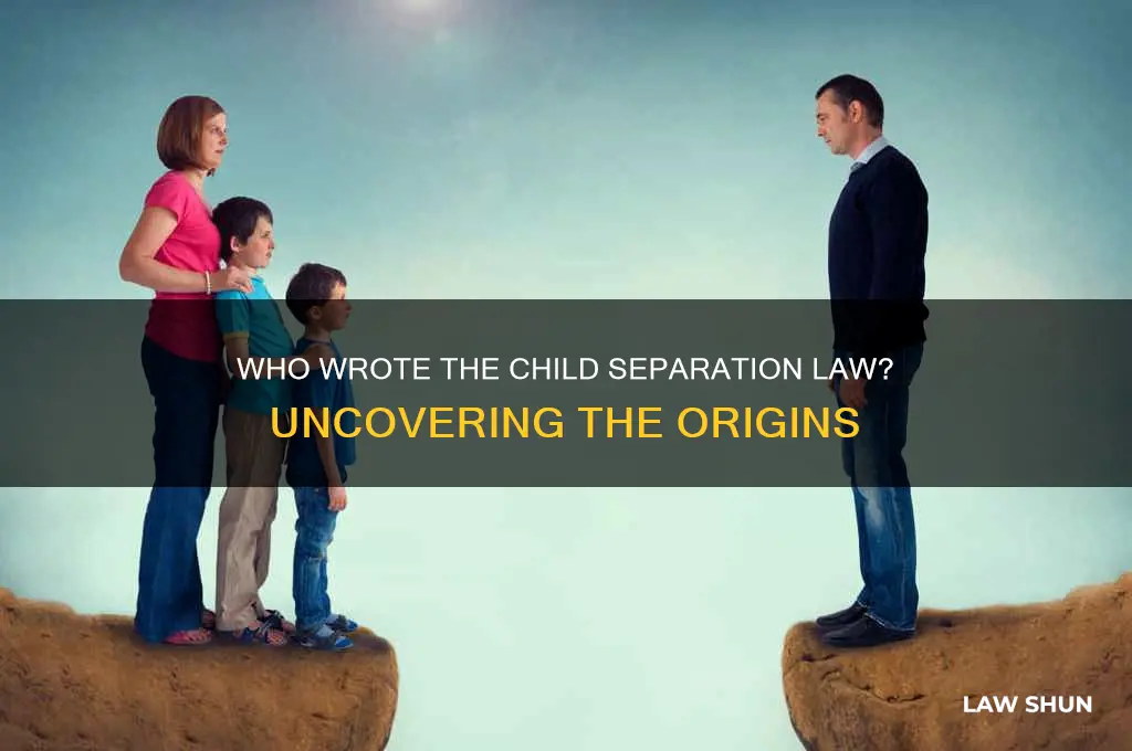 Who Wrote The Child Separation Law? Uncovering The Origins | LawShun