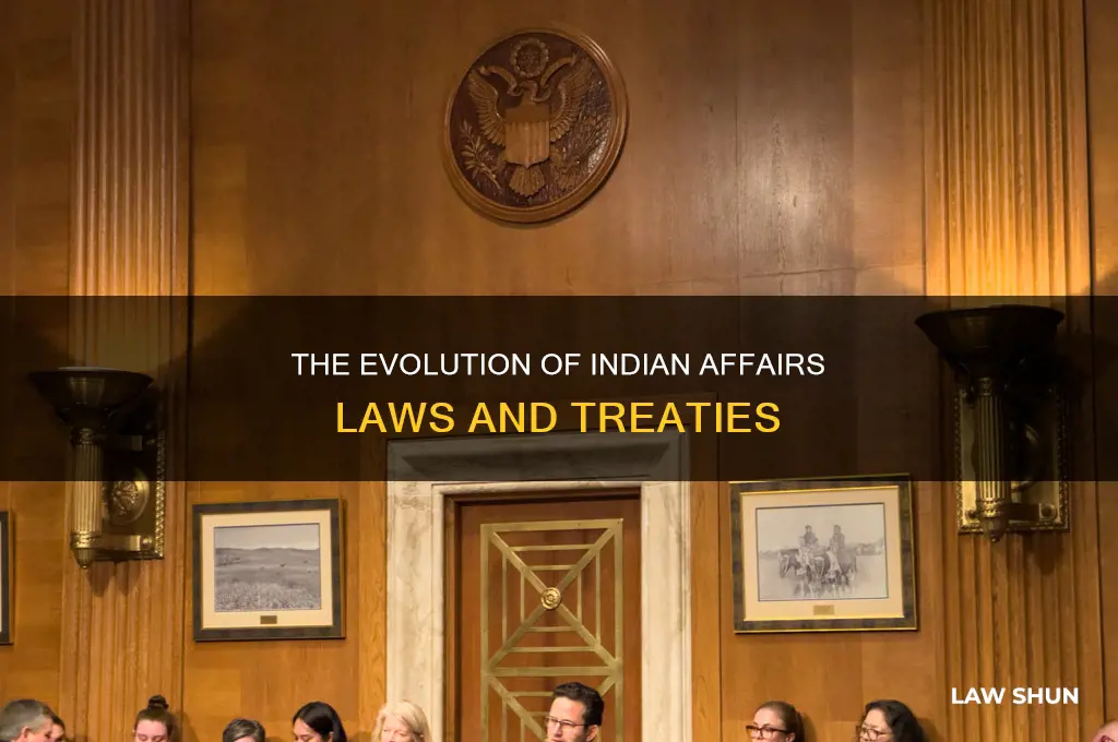 The Evolution Of Indian Affairs Laws And Treaties | LawShun