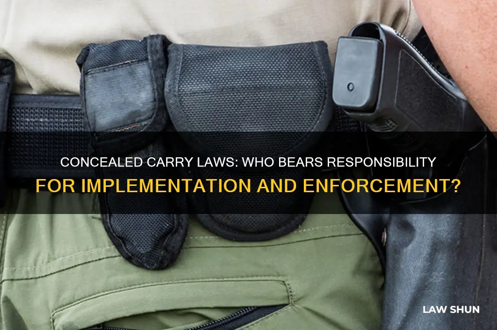 Concealed Carry Laws: Who Bears Responsibility For Implementation And ...