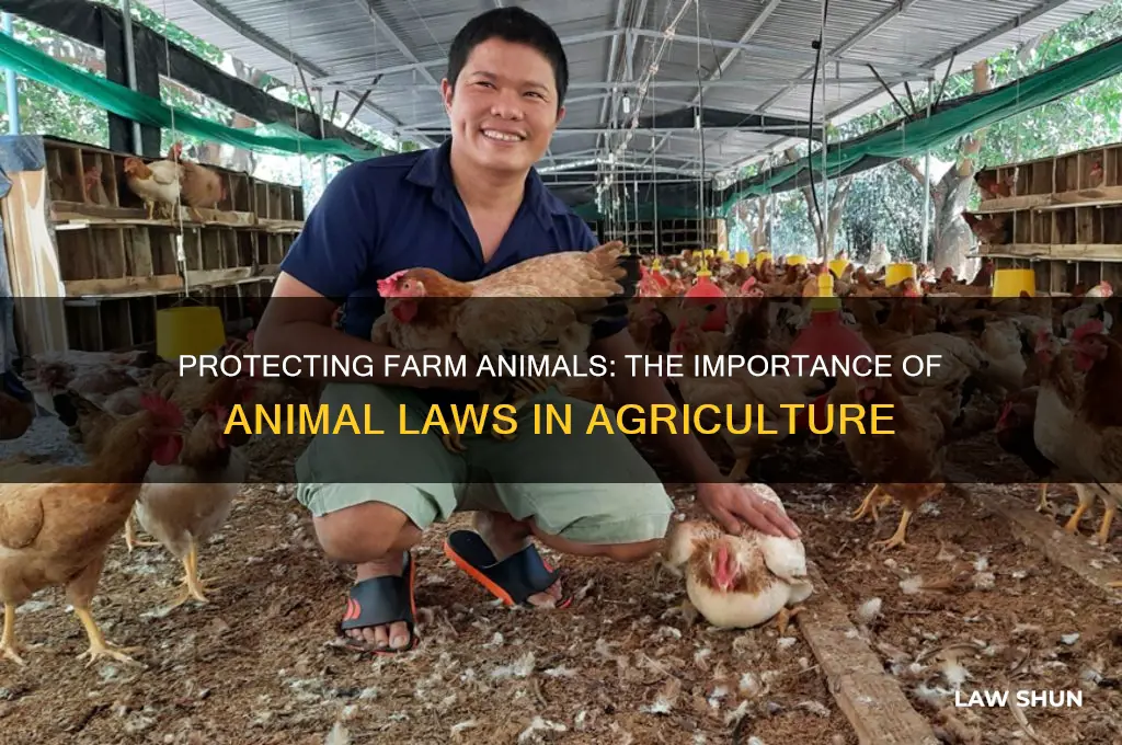 Protecting Farm Animals: The Importance Of Animal Laws In Agriculture ...