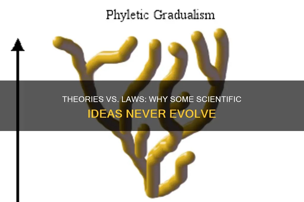 Theories Vs. Laws: Why Some Scientific Ideas Never Evolve | LawShun