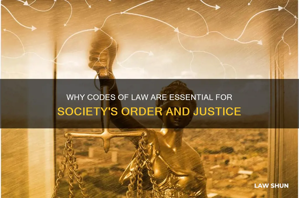 Why Codes Of Law Are Essential For Society's Order And Justice | LawShun