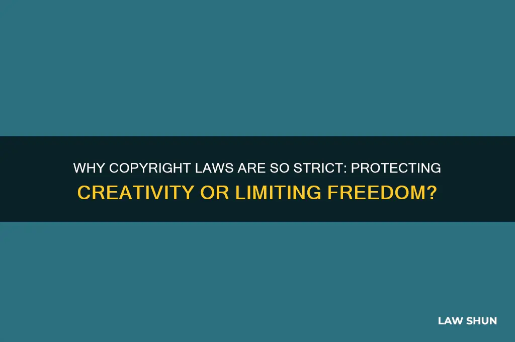 Why Copyright Laws Are So Strict: Protecting Creativity Or Limiting ...
