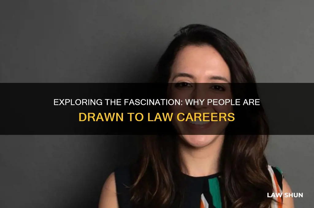 Exploring The Fascination: Why People Are Drawn To Law Careers | LawShun
