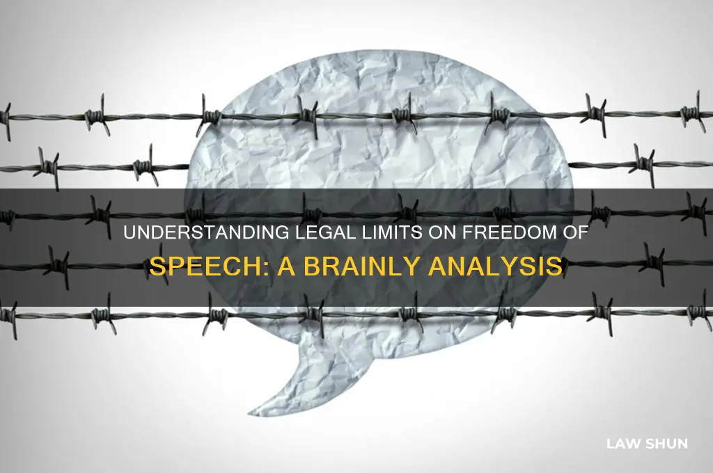 Understanding Legal Limits On Freedom Of Speech: A Brainly Analysis ...