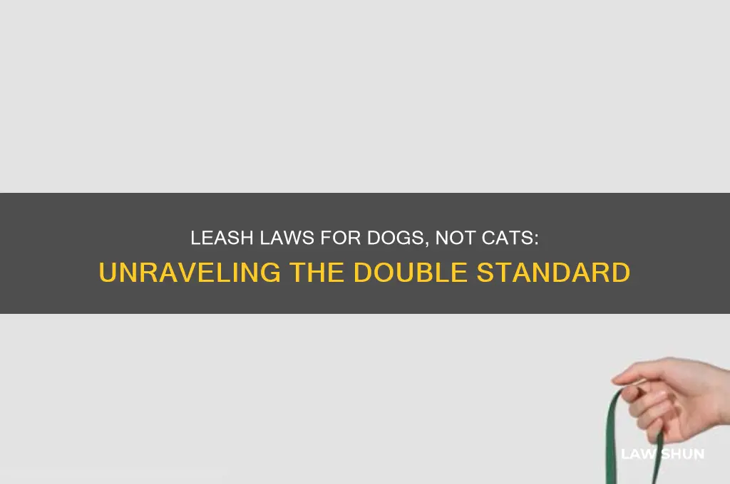 Leash Laws For Dogs, Not Cats: Unraveling The Double Standard | LawShun