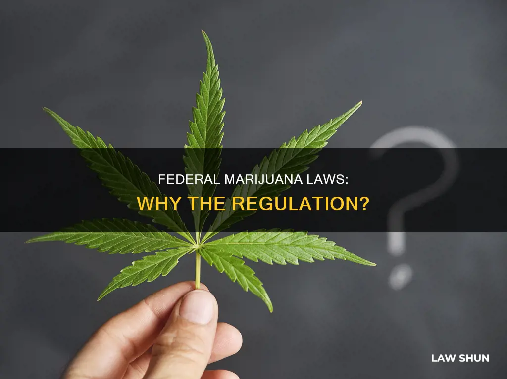 Federal Marijuana Laws: Why The Regulation? | LawShun
