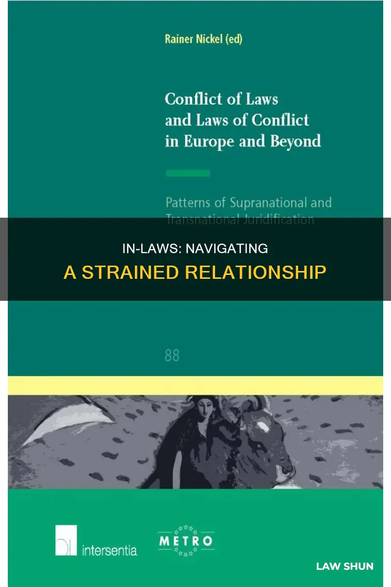 In-Laws: Navigating A Strained Relationship | LawShun