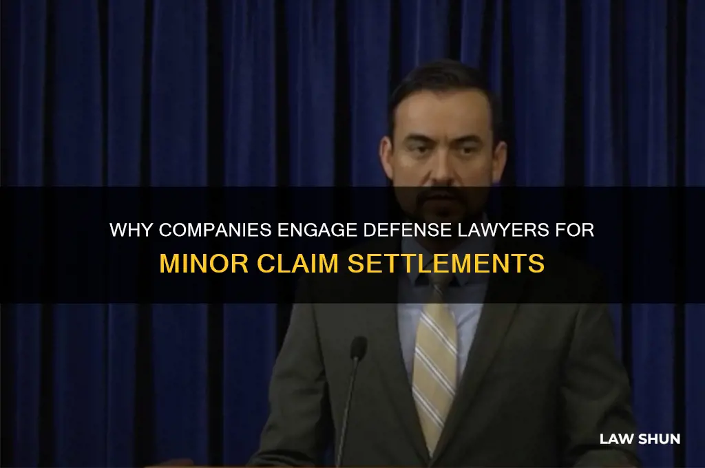 Why Companies Engage Defense Lawyers For Minor Claim Settlements | LawShun