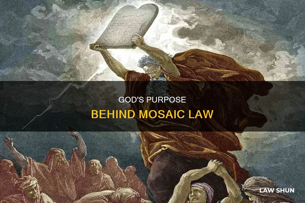 God's Purpose Behind Mosaic Law | LawShun