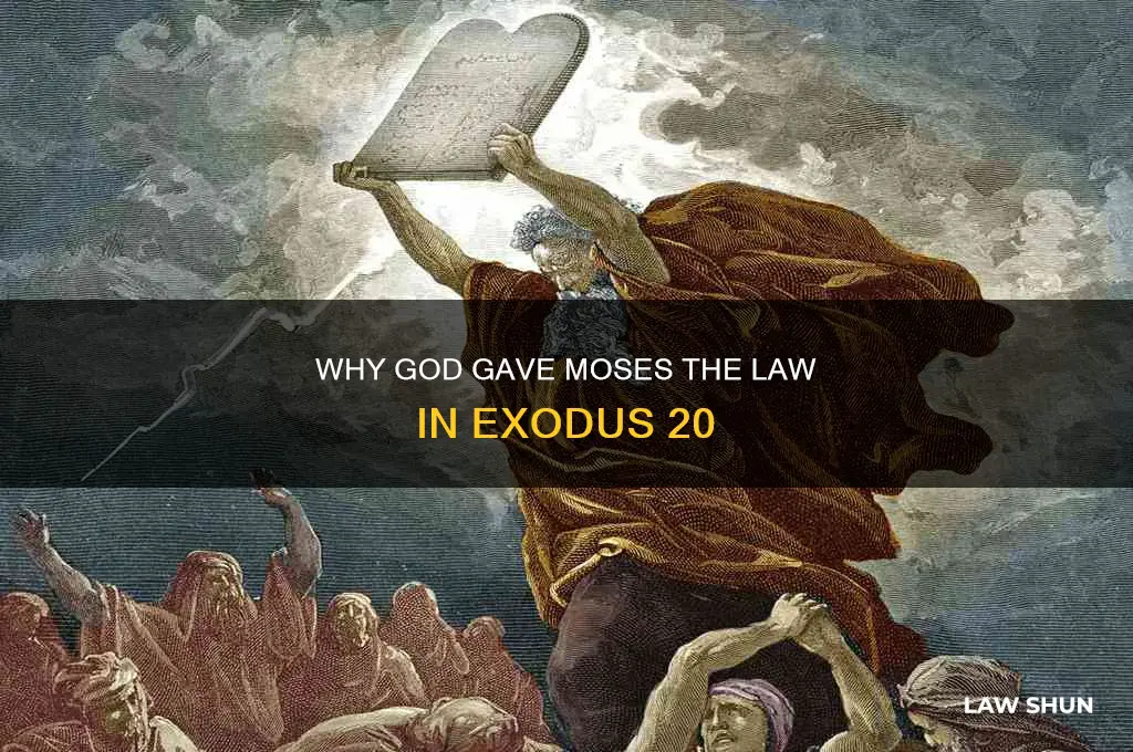 Why God Gave Moses The Law In Exodus 20 | LawShun