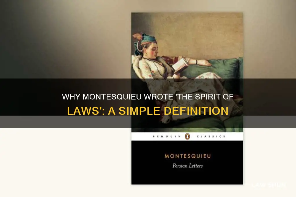 Why Montesquieu Wrote 'The Spirit Of Laws': A Simple Definition | LawShun