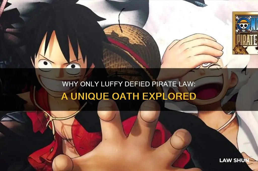 Why Only Luffy Defied Pirate Law: A Unique Oath Explored | LawShun