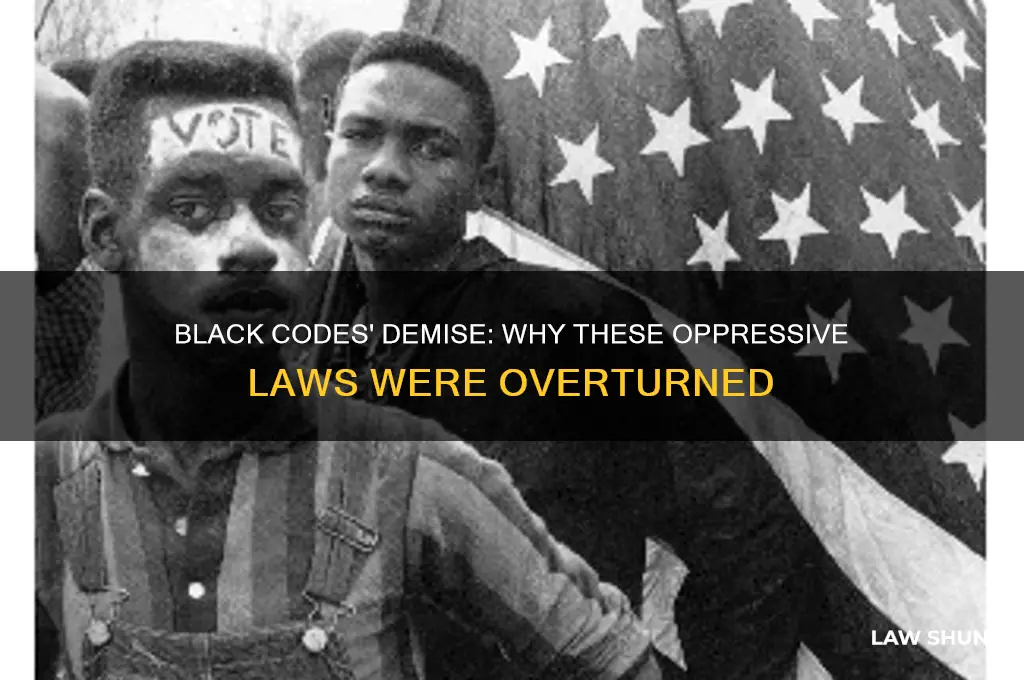 Black Codes' Demise: Why These Oppressive Laws Were Overturned | LawShun