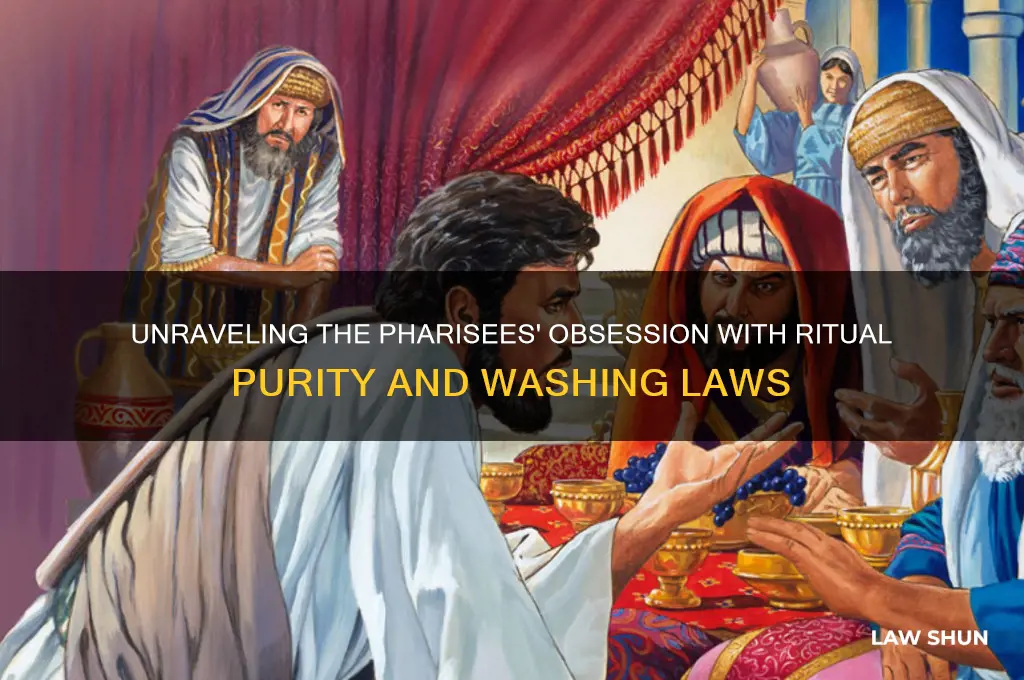 Unraveling The Pharisees' Obsession With Ritual Purity And Washing Laws ...