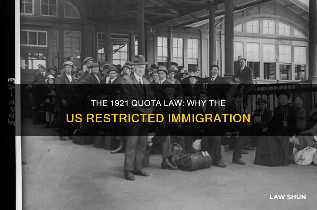 The 1921 Quota Law: Why The Us Restricted Immigration | LawShun