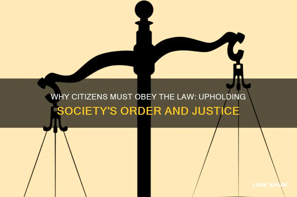 Why Citizens Must Obey The Law: Upholding Society's Order And Justice ...