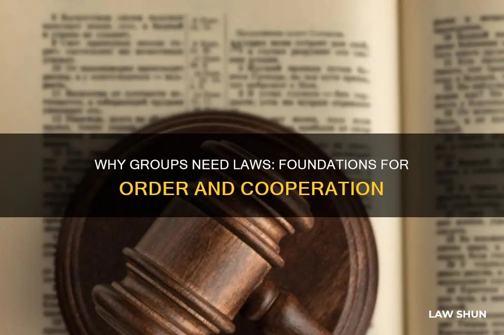 Why Groups Need Laws: Foundations For Order And Cooperation | LawShun