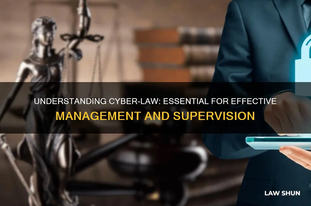 Understanding Cyber-Law: Essential For Effective Management And ...