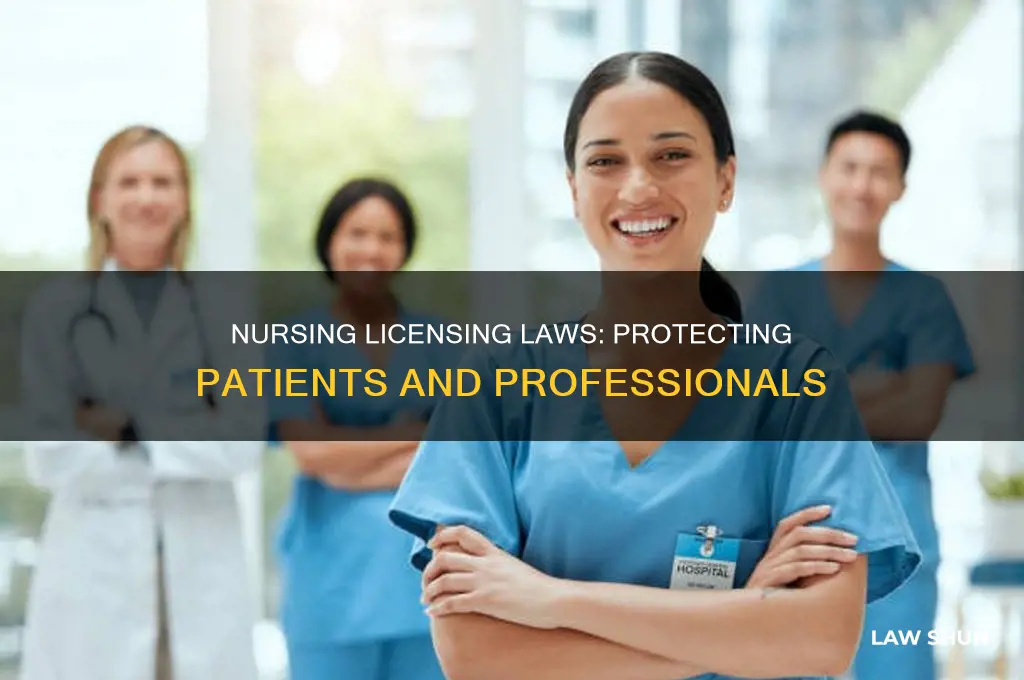 Nursing Licensing Laws: Protecting Patients And Professionals | LawShun