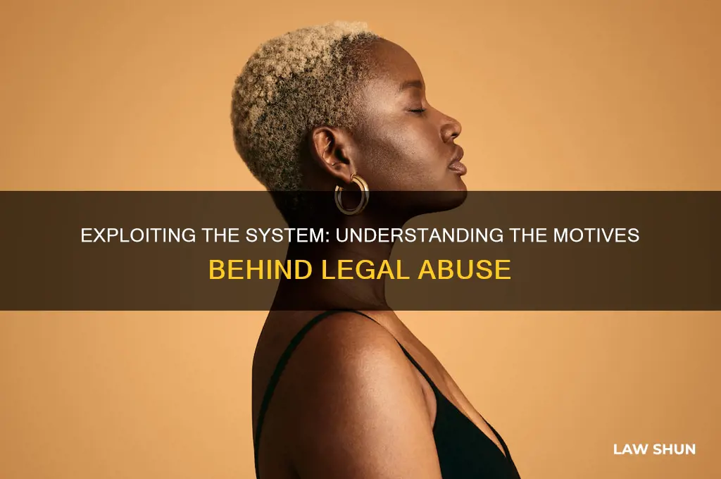 Exploiting The System: Understanding The Motives Behind Legal Abuse ...
