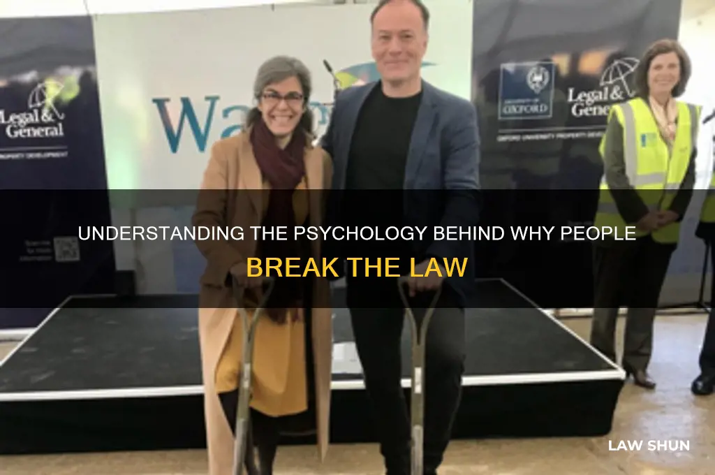 Understanding The Psychology Behind Why People Break The Law | LawShun