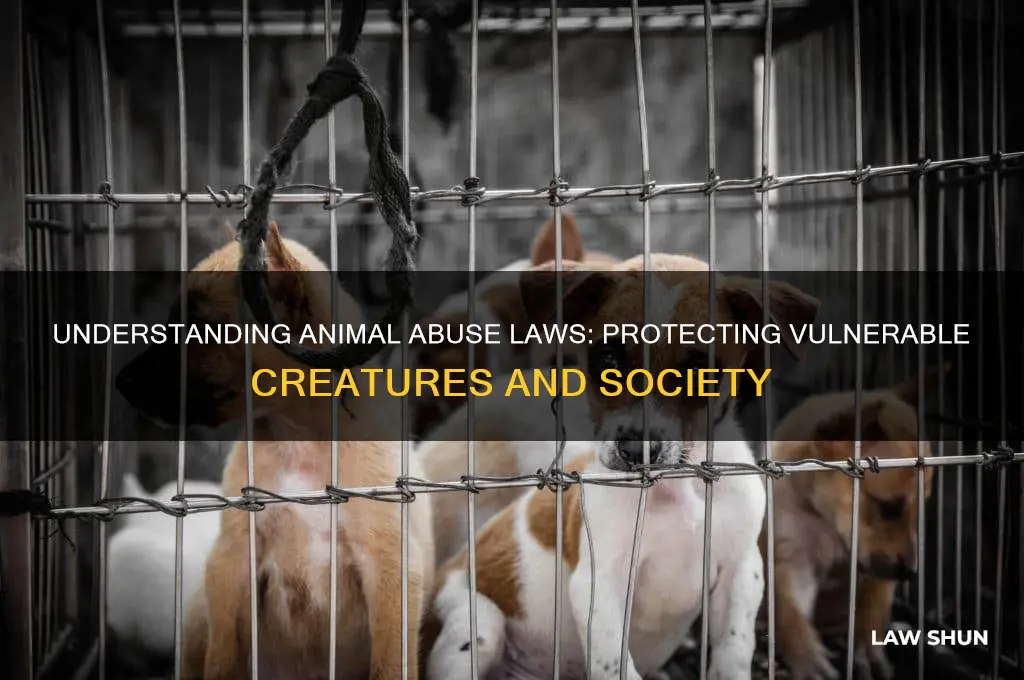 Understanding Animal Abuse Laws: Protecting Vulnerable Creatures And ...