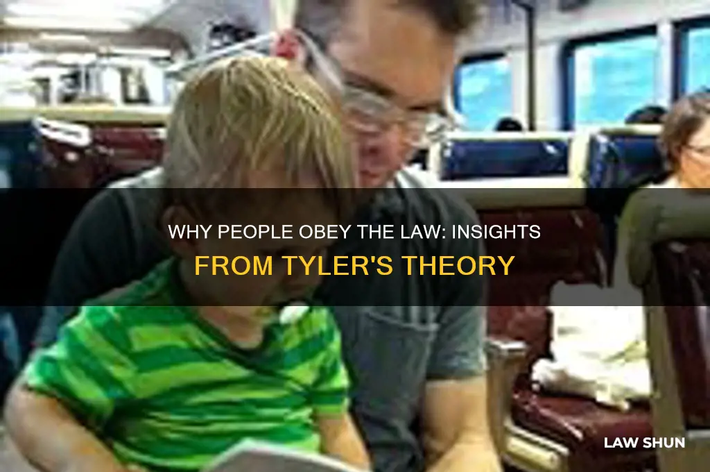 Why People Obey The Law: Insights From Tyler's Theory | LawShun