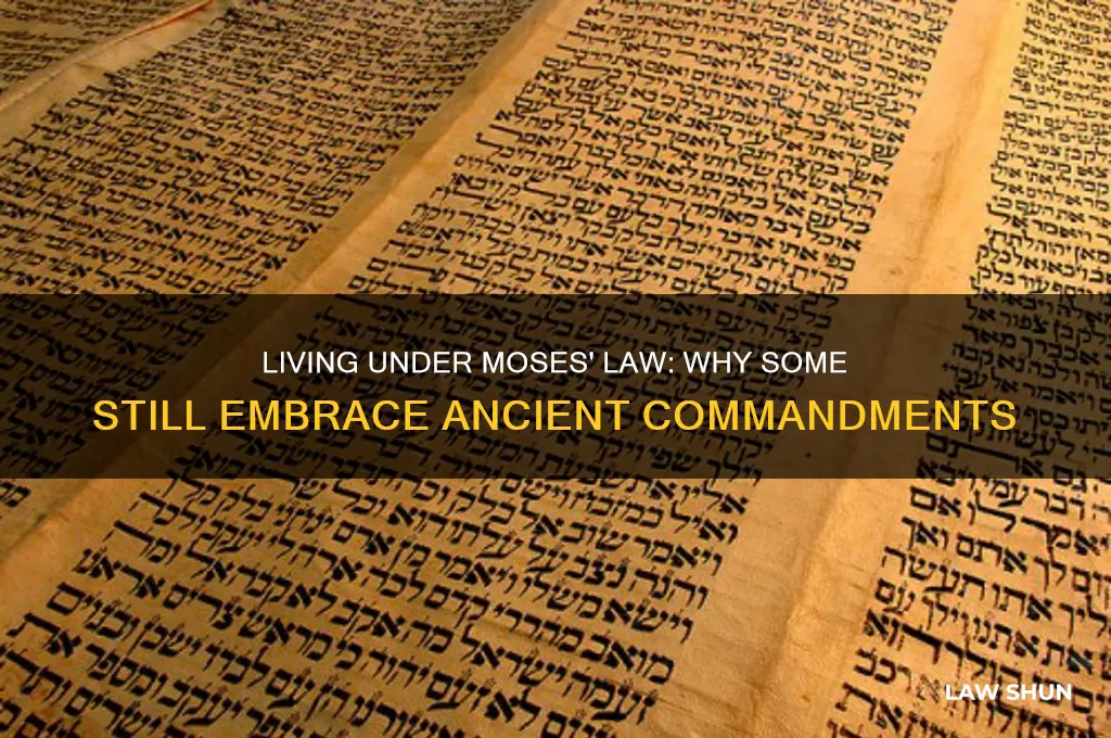 Living Under Moses' Law: Why Some Still Embrace Ancient Commandments ...