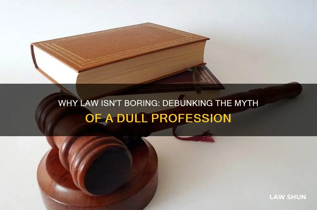 Why Law Isn't Boring: Debunking The Myth Of A Dull Profession | LawShun