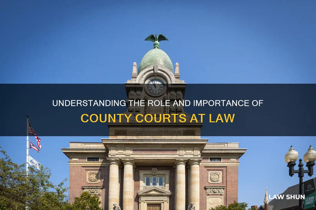 Understanding The Role And Importance Of County Courts At Law | LawShun