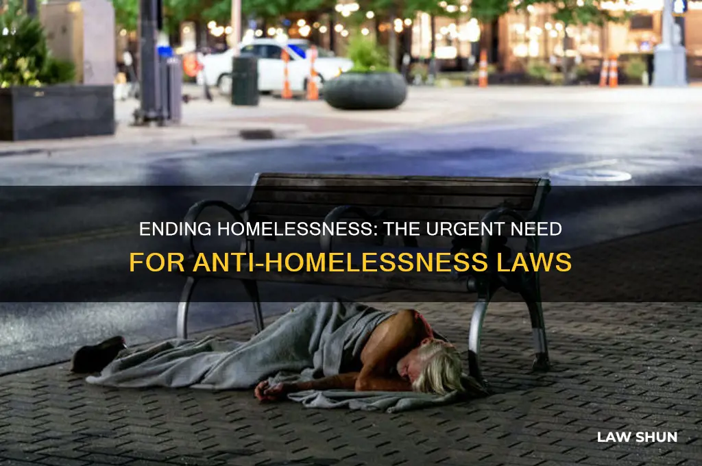 Ending Homelessness: The Urgent Need For Anti-Homelessness Laws | LawShun