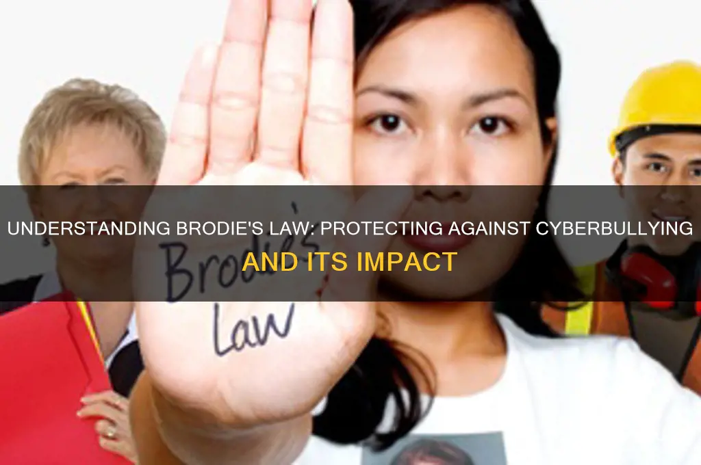 Understanding Brodie's Law: Protecting Against Cyberbullying And Its ...
