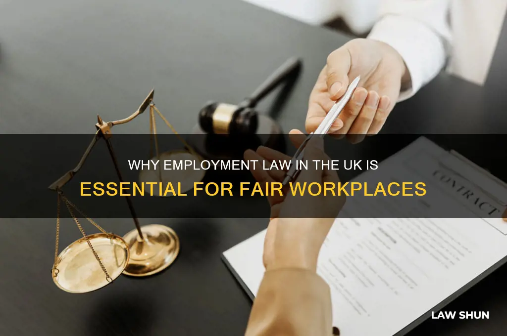 Why Employment Law In The Uk Is Essential For Fair Workplaces | LawShun